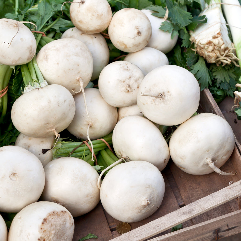 White Detroit Beet Seeds - Heirloom – Hometown Seeds