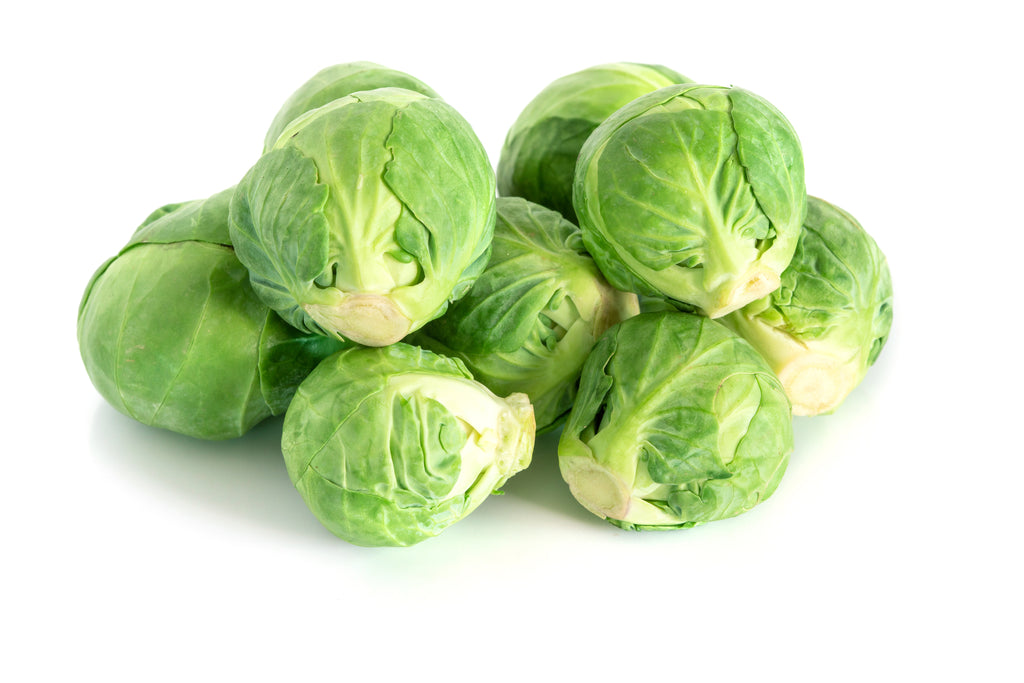 Catskill Brussel Sprouts Seeds - Heirloom – Hometown Seeds