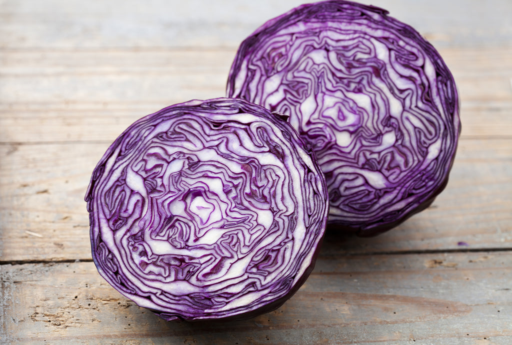 Mammoth Red Rock Cabbage Seeds - Heirloom – Hometown Seeds