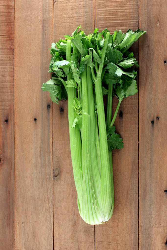 Tall Utah Celery Seeds - Heirloom – Hometown Seeds