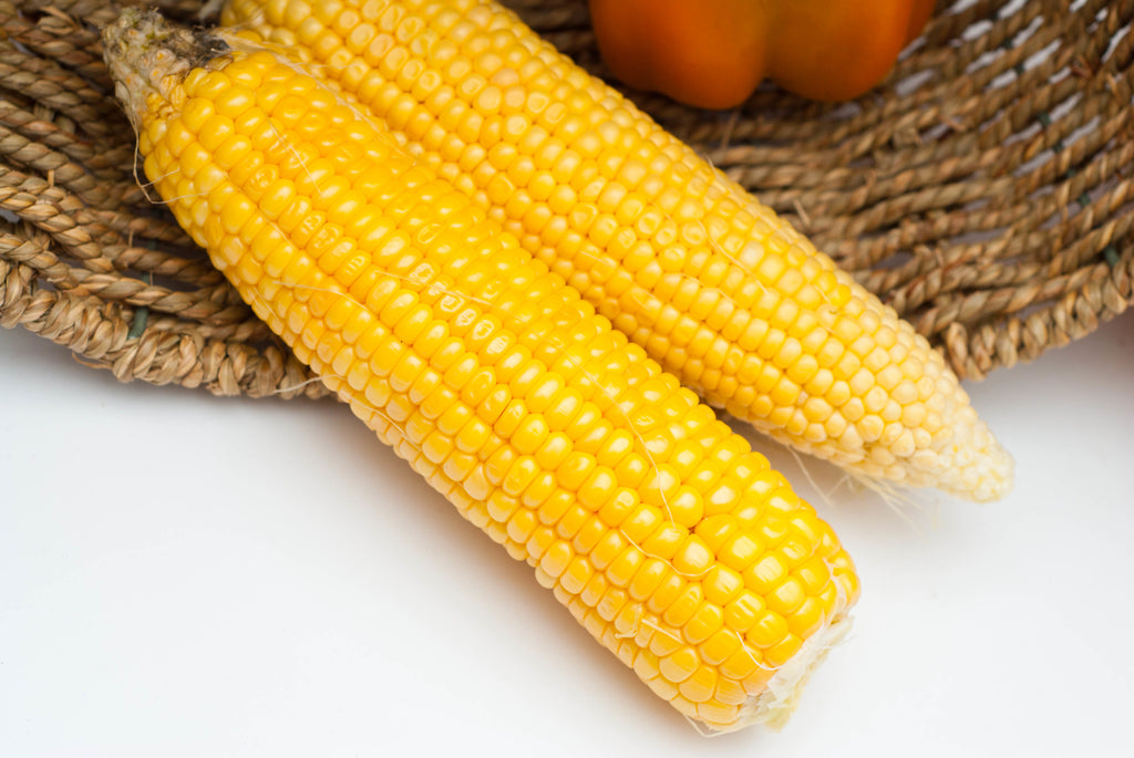 Jubilee Hybrid (su) Corn Seeds – Hometown Seeds