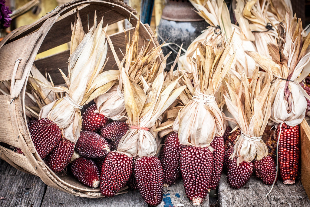 Strawberry Ornamental Corn - Heirloom – Hometown Seeds