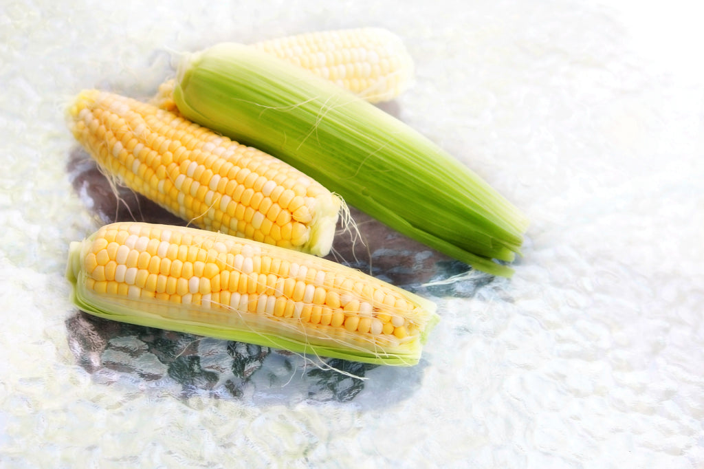 Providence Hybrid (syn) Corn Seeds – Hometown Seeds