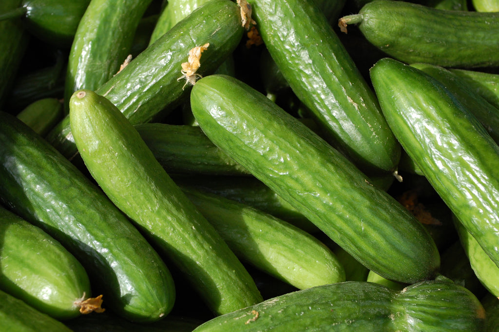 Muncher Cucumber Seeds - Heirloom – Hometown Seeds