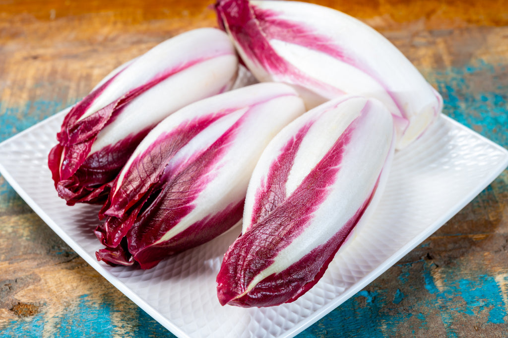 Endive, Red Treviso - Lettuce Seeds (Chicory) - Heirloom – Hometown Seeds