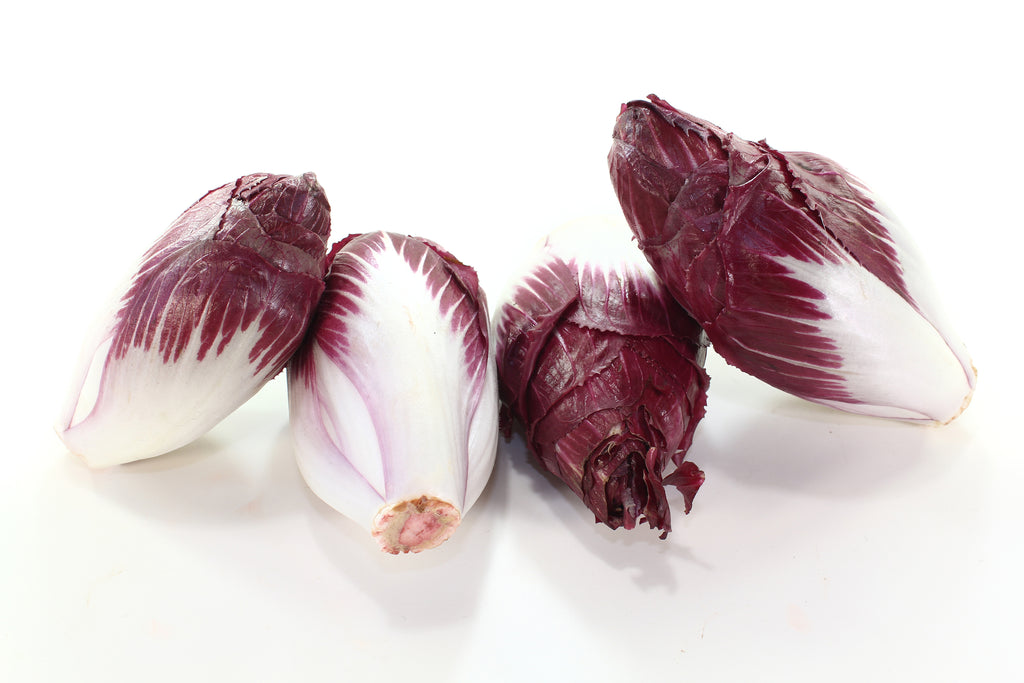 Endive, Red Treviso - Lettuce Seeds (Chicory) - Heirloom – Hometown Seeds