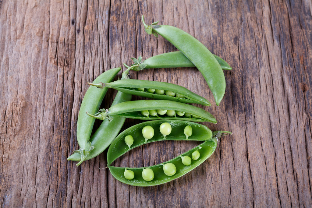 Super Sugar Snap Pea Seeds - Heirloom – Hometown Seeds