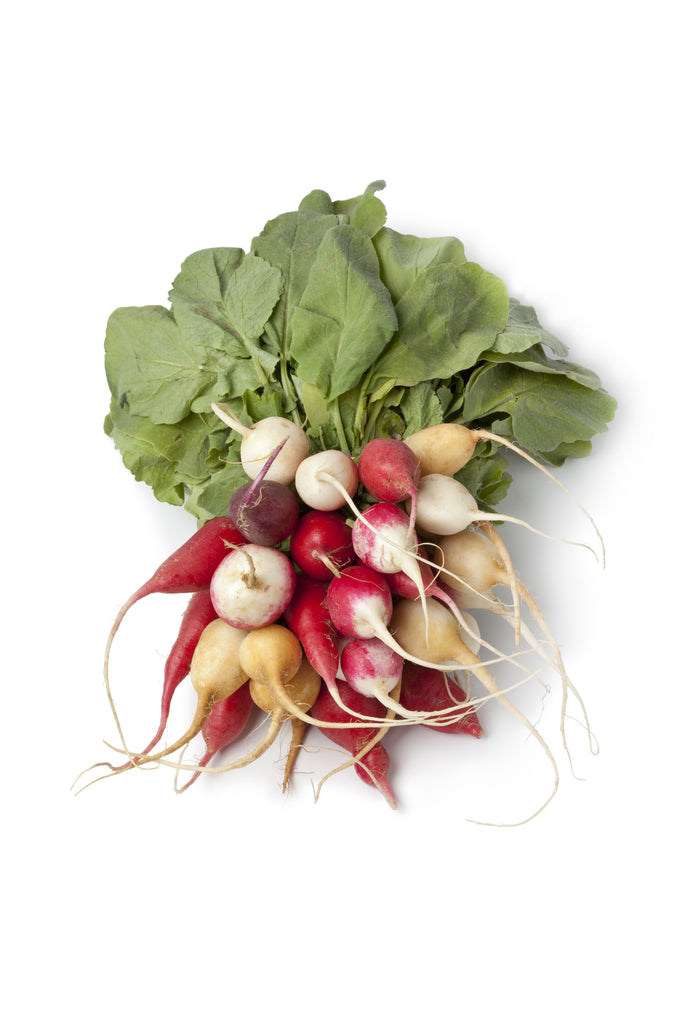 Crayon Colors Mixed Radish Seeds - Heirloom – Hometown Seeds