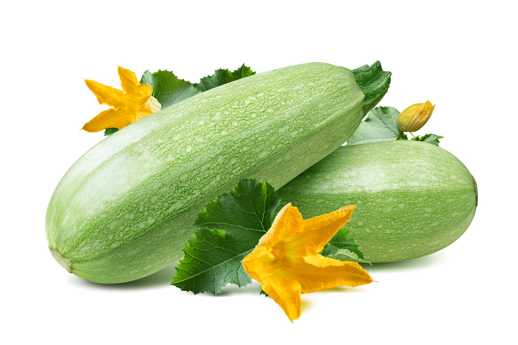Summer Squash, Zucchini Grey Seeds - Heirloom – Hometown Seeds