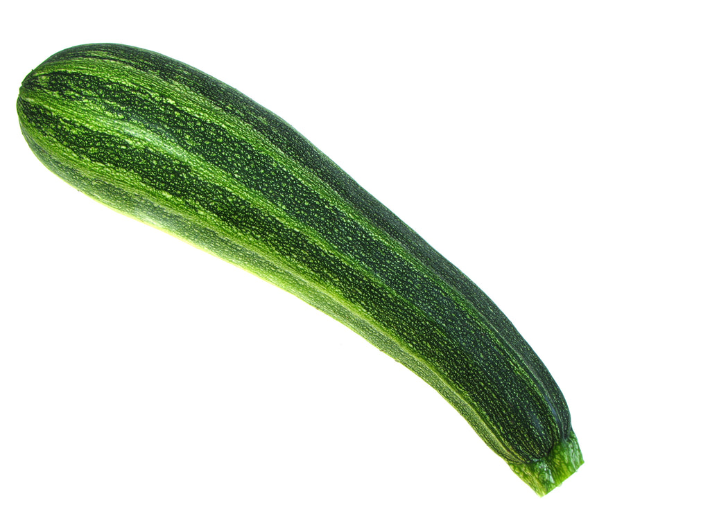 Summer Squash, Zucchini Italian Striped Seeds - Heirloom – Hometown Seeds
